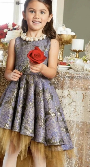 Chasing Fireflies | Dresses | Chasing Fireflies Purple Gold Brocade ...